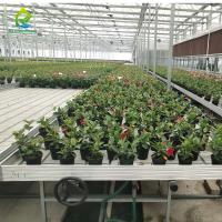 China Horticultural Custom Size Greenhouse Grow Table Hydroponic Ebb Flood Rolling Bench for sale