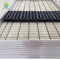 China 50KG/M2 Ebb And Flow Rolling Benches Nursery Seedbed Hydroponics Flood Tray for sale