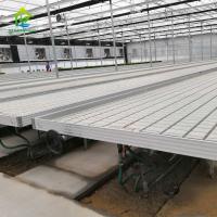 China 50KG/M2 Ebb And Flow Rolling Benches Nursery Seedbed Hydroponics Flood Tray for sale