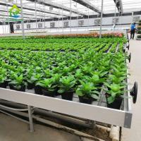 China 50KG/M2 Ebb And Flow Rolling Benches Nursery Seedbed Hydroponics Flood Tray for sale