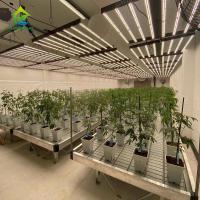 China Ebb Flow Hydroponic Soilless Culture Rolling Bench Grow Table Seedling Seedbed for sale