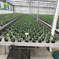 China Stable Eco Friendly Greenhouse Rolling Benches with ABS Plastic Sheet and Aluminum Alloy Frame in Customizable Sizes for sale