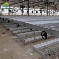 China Agricultural Commercial Indoor Mesh Wire Greenhouse Grow Table Rolling Bench For Seeding for sale