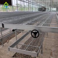 China Agricultural Commercial Indoor Mesh Wire Greenhouse Grow Table Rolling Bench For Seeding for sale