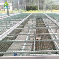 China Seedbed Plant Nursery Equipment Movable Mesh Grow Table Vegetable Planting for sale