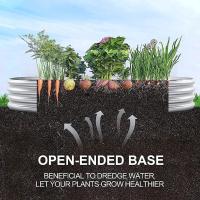 China Galvanized Raised Garden Bed Kit 4*2*1 Ft Oval Metal Galvanized Planter Garden Boxes Outdoor For Vegetables (Sliver） for sale