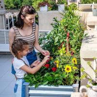 China Balcony Galvanized Raised Garden Beds With Wheels 4*2*2.6Ft Galvanized Elevated Raised Bed for sale