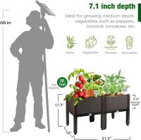 China Customized Polypropylene Plastic Raised Planter Boxes Plastic Raised Garden Beds On Legs for sale
