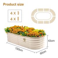 China Ivory White Oval Galvanized Vegetable Planters 5*2*1.5ft Corrosion Resistance for sale