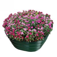 China Zinc Aluminum Magnesium Stainless Steel Metal Raised Flower Bed 2x2x0.92 Ft Antirust for sale