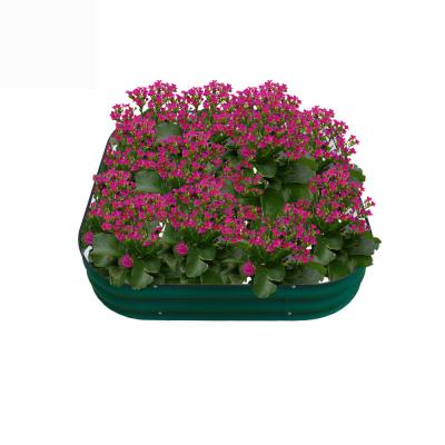 China Galvanized Steel Raised Garden Bed Kit 3.4*3.4*0.66 FT Metal Planter Garden Boxes Outdoor With Safety Edging And Gloves for sale