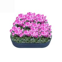China Oval Galvanized Raised Garden Bed Box 3.4*3.4*0.66 ft Metal Outdoor Flower Bed Steel Patio Ground Planter For Planting for sale