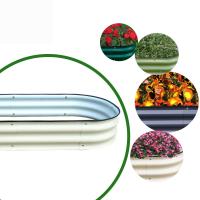 China Oval Raised Garden Bed Galvanized Planter Raised Beds 4.9*2*0.66 ft Metal Raised Garden Beds Outdoor For Vegetables for sale