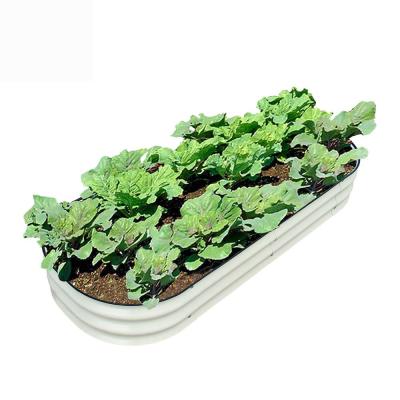 China Galvanized Raised Garden Beds Outdoor 4.9*2*0.66 ft Planter Raised Beds for Gardening Vegetables Meta Garden Box for sale