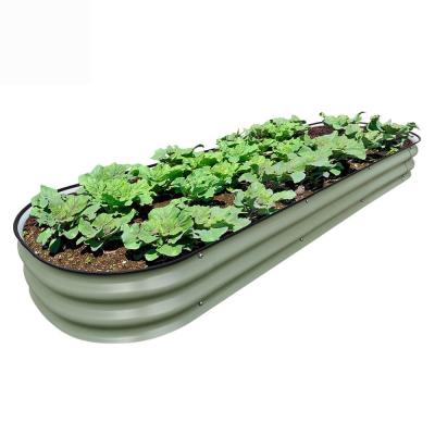China 6.4*2*0.66 Ft Metal Raised Garden Bed Light Green Galvalume Steel Garden Bed With Rubber Edge 77.8