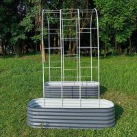 China 6ft Tall Pea Tunnel Metal Garden Arch Trellis Cucumber Raised Bed Trellis Rustproof for sale