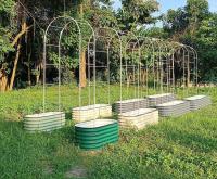 China 6ft Tall Pea Tunnel Metal Garden Arch Trellis Cucumber Raised Bed Trellis Rustproof for sale