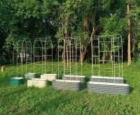 China 6ft Tall Pea Tunnel Metal Garden Arch Trellis Cucumber Raised Bed Trellis Rustproof for sale