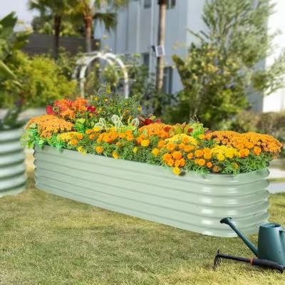 China Silver Oval Galvanized Raised Garden Bed Kit Weather Resistant Double Layer Galvanized Finish Type for sale