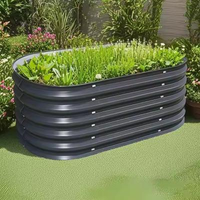 China 4 Feet X 2 Feet Oval Raised Garden Bed Kit 1 Level Double Layer Galvanized Finish for sale