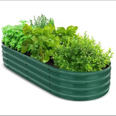 China Assembly Required Oval Galvanized Raised Garden Bed Kit Strong Construction and Easy To Install for sale