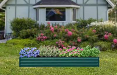China 77.8 Oval Galvanized Raised Garden Bed Kit Assembly Required Product Dimensions 77.8 Ideal For Small Spaces for sale