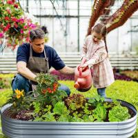 China Double-layer Galvanized Galvanized Steel Galvanized Raised Garden Beds for Elevated and Rust-resistant Planting for sale