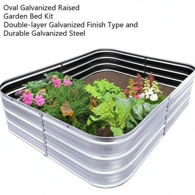 China Oval Galvanized Raised Garden Bed Kit Double-layer Galvanized Finish Type and Durable Galvanized Steel for sale