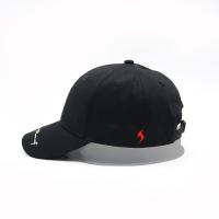 China Custom Flat Embroidered Baseball Cap 58cm Unisex 6 Panel Cotton Outdoor Hat for sale