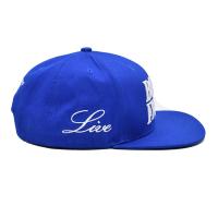 China BSCI Factory Custom Snapback Cap with 3D Embroidery - 100% Cotton, 200pcs MOQ, 32kg Carton Weight for sale