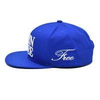 China BSCI Factory Custom Snapback Cap with 3D Embroidery - 100% Cotton, 200pcs MOQ, 32kg Carton Weight for sale
