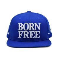 China BSCI Factory Custom Snapback Cap with 3D Embroidery - 100% Cotton, 200pcs MOQ, 32kg Carton Weight for sale