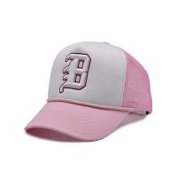 China Pre Curved Visor Cotton Polyester 5 Panel Trucker Cap with Embroidered Logo for sale
