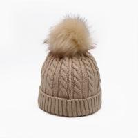 China Custom Logo Knit Beanie Hats Unisex Winter 58cm Acrylic Polyester Fashion Caps for sale