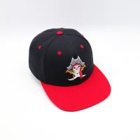 China Custom Flat Brim Snapback Hat Unisex Structured Cotton Cap BSCI ISO 100PCS MOQ for sale