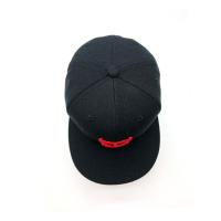 China BSCI Certified 6 Panel Cotton Snapback Cap One Size Fits All Custom Logo for sale