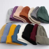 China Custom 7-15 Days Embroidery/Blank Beanie Hat for sale