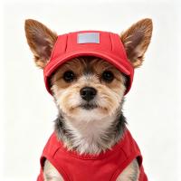 China Adjustable Cotton Pet Hat with Cute Animal Ears 50g Washable for Cats and Small Dogs for sale