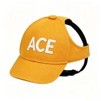 China Non Toxic Eco Friendly Adjustable Pet Hat 50g Lightweight Breathable for Cats Small Dogs for sale