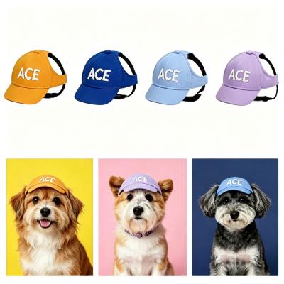 China Non Toxic Eco Friendly Adjustable Pet Hat 50g Lightweight Breathable for Cats Small Dogs for sale