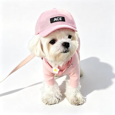China 50g Cotton Pet Hat Adjustable Velcro Closure for Cats and Small Dogs Breathable Lightweight for sale