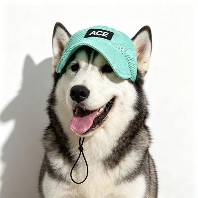 China Adjustable Cotton Pet Hat for Small Dogs with Velcro Strap S M L Sizes for sale