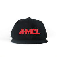 China Custom Logo Snapback Sports Hats 58cm Multi Color Hip Hop Caps for Adults for sale