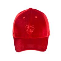 China Women Curved Eaves Velvet Winter Baseball Cap 6 Panel Snapback Flat Embroidery Logo for sale