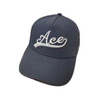China Recycled Polyester 6 Panel Dad Hat with 3D Embroidered Logo Custom Baseball Cap for Men 56-58cm for sale