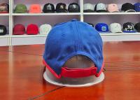 China Custom 100% Cotton Baseball Cap 6 Panel Embroidery Logo Adjustable 53-62cm for sale