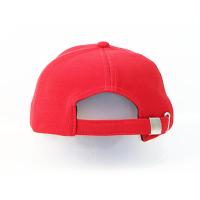 China Custom 100% Cotton Baseball Cap with Rubber Printing Logo Wings Red Ladder Cloth Unisex for sale