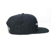China Adjustable Flat bill Customized design rubber printing Tai Ji Sports snapback Hats Caps for sale