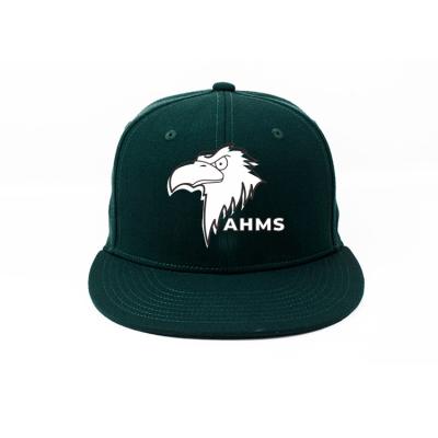 China High quality Custom Made eagle printing Logo Printed Hip Hop Snapback Hats Caps for sale