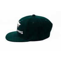 China High quality Custom Made eagle printing Logo Printed Hip Hop Snapback Hats Caps for sale
